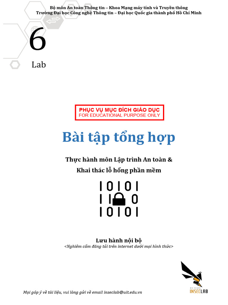 Lab 6 - CTF - 2025 | PDF