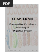 Magic School Bus Digestion Guide | PDF