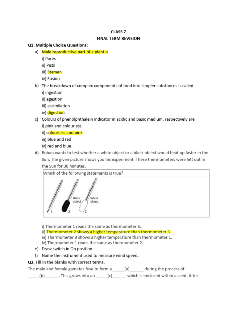 Class 7 - Final Exam Revision | PDF | Rainbow