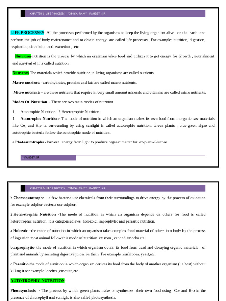 Life Process of Organism-Bioclass10 | PDF | Digestion | Photosynthesis