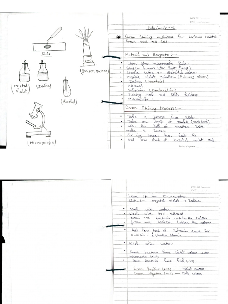 Botany Pratical File Third Sem Document | PDF