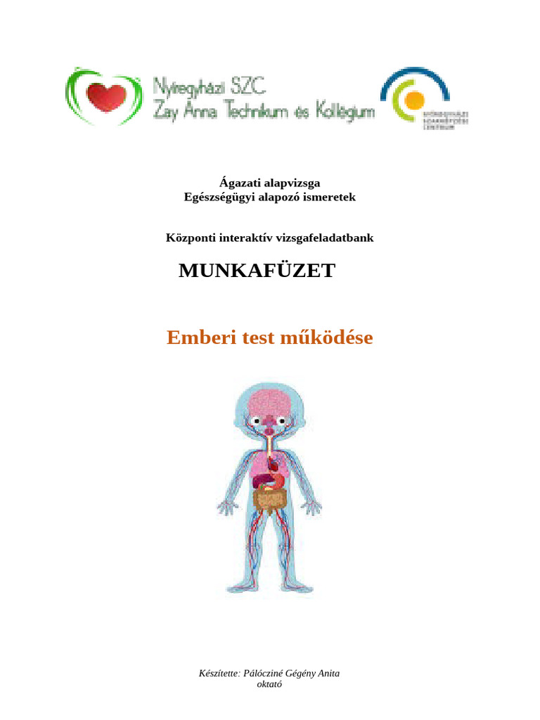 Munkafüzet4 Emberi Test | PDF
