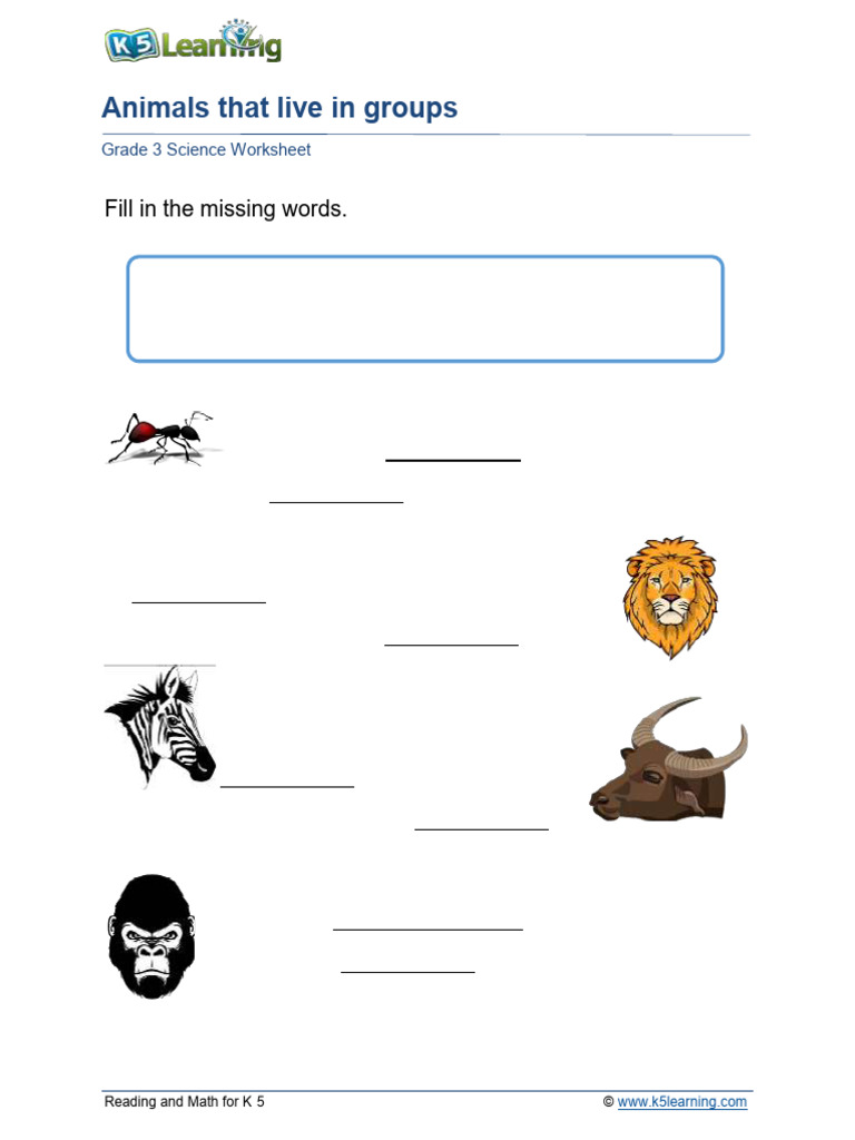 K-5 Group Animals Science Worksheet | PDF