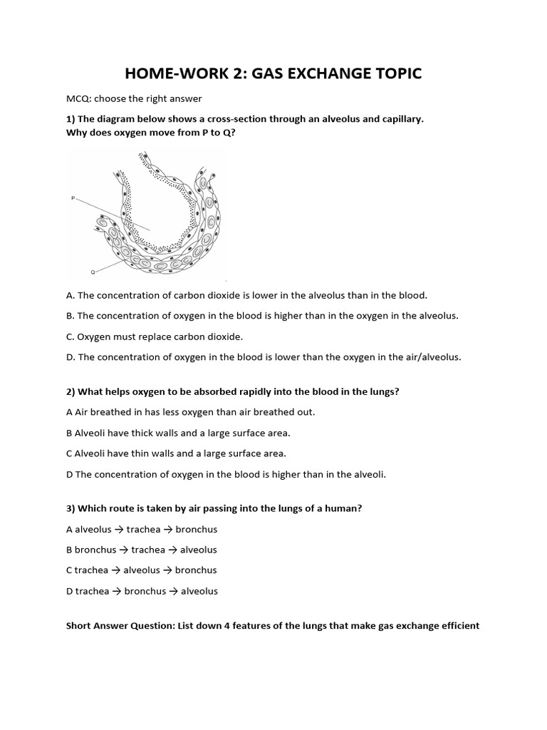 Homework 2 - Gas Exchange | PDF