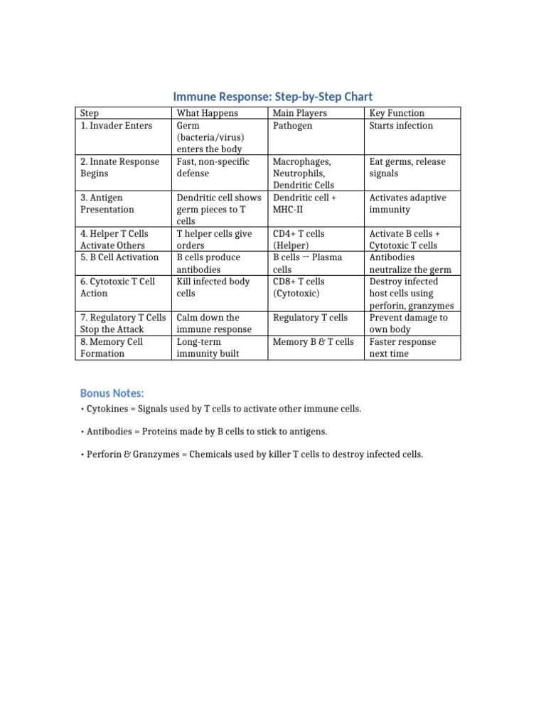 Immune Response Flowchart Explained | PDF