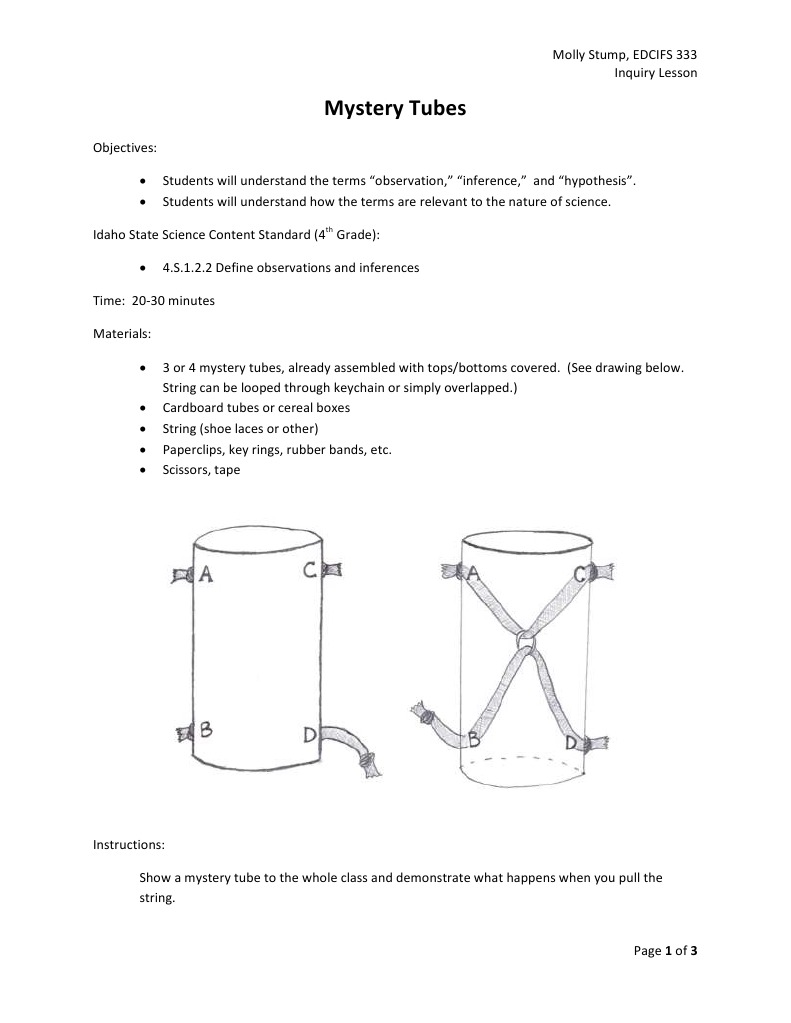Mystery Tubes | PDF | Inquiry | Hypothesis