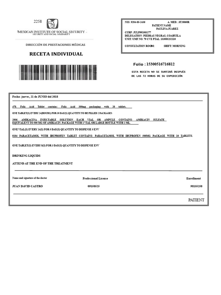 392081119-339969700-Recipe-IMSS-Editable | PDF