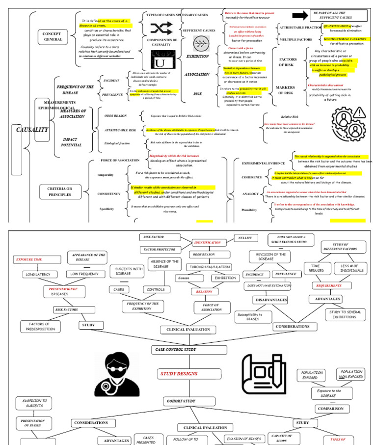 Causality Graphic Organizer | PDF | Causality | Relative Risk