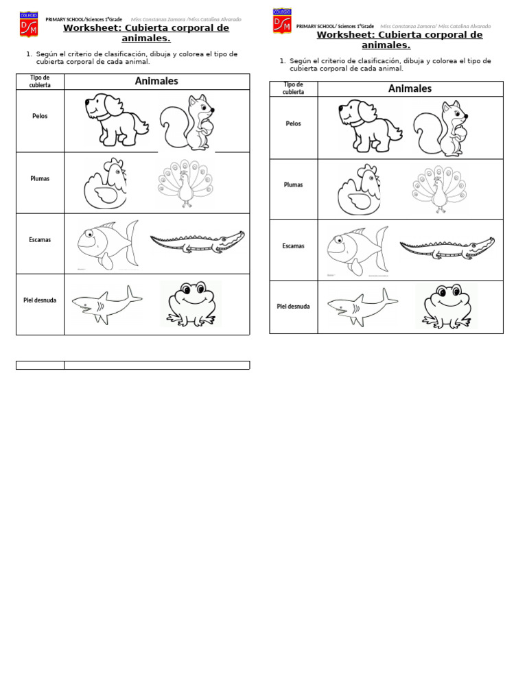 Cubiertas Corporales de Animales para 1° Grado | PDF