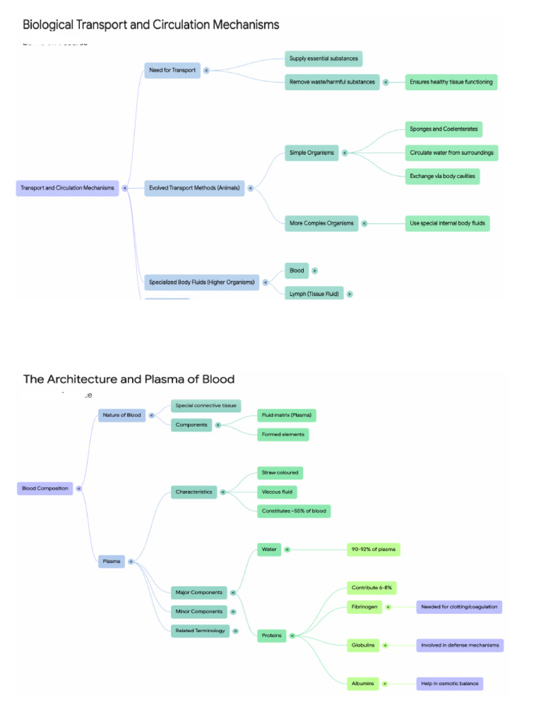 Circulation - Mind Maps | PDF