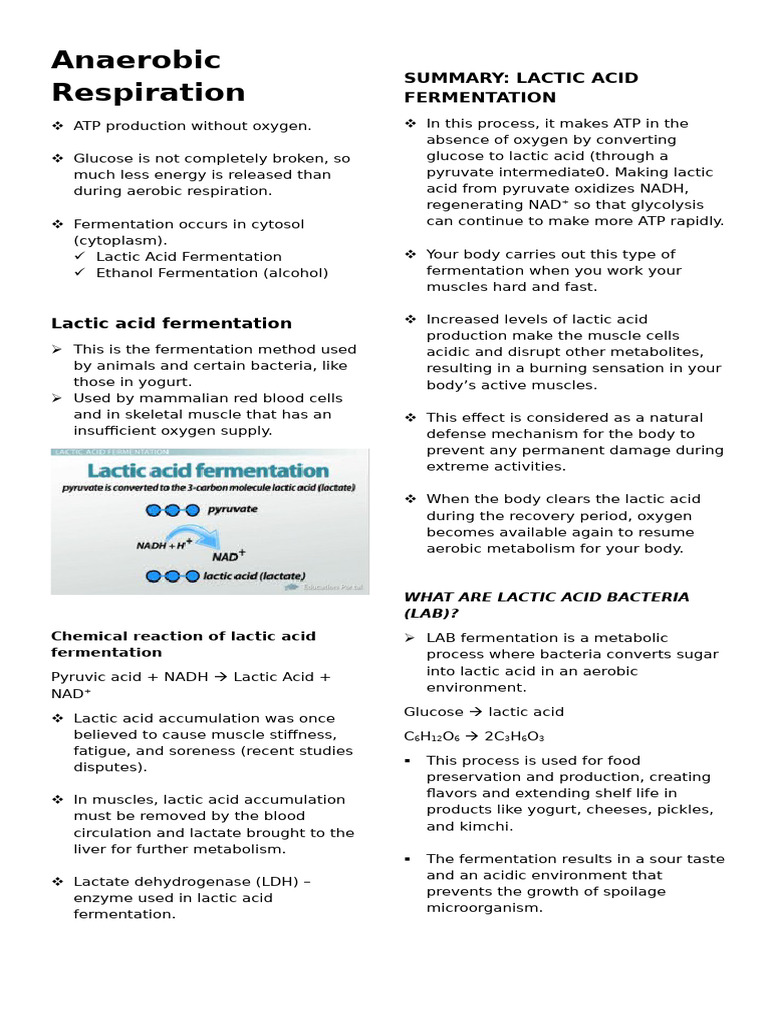 Lactic and Alcohol Fermentation Explained | PDF | Cellular Respiration ...