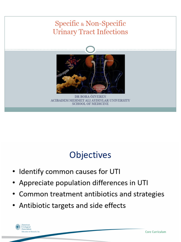 1 - Urinary Tract Infections | PDF | Urinary Tract Infection | Clinical ...