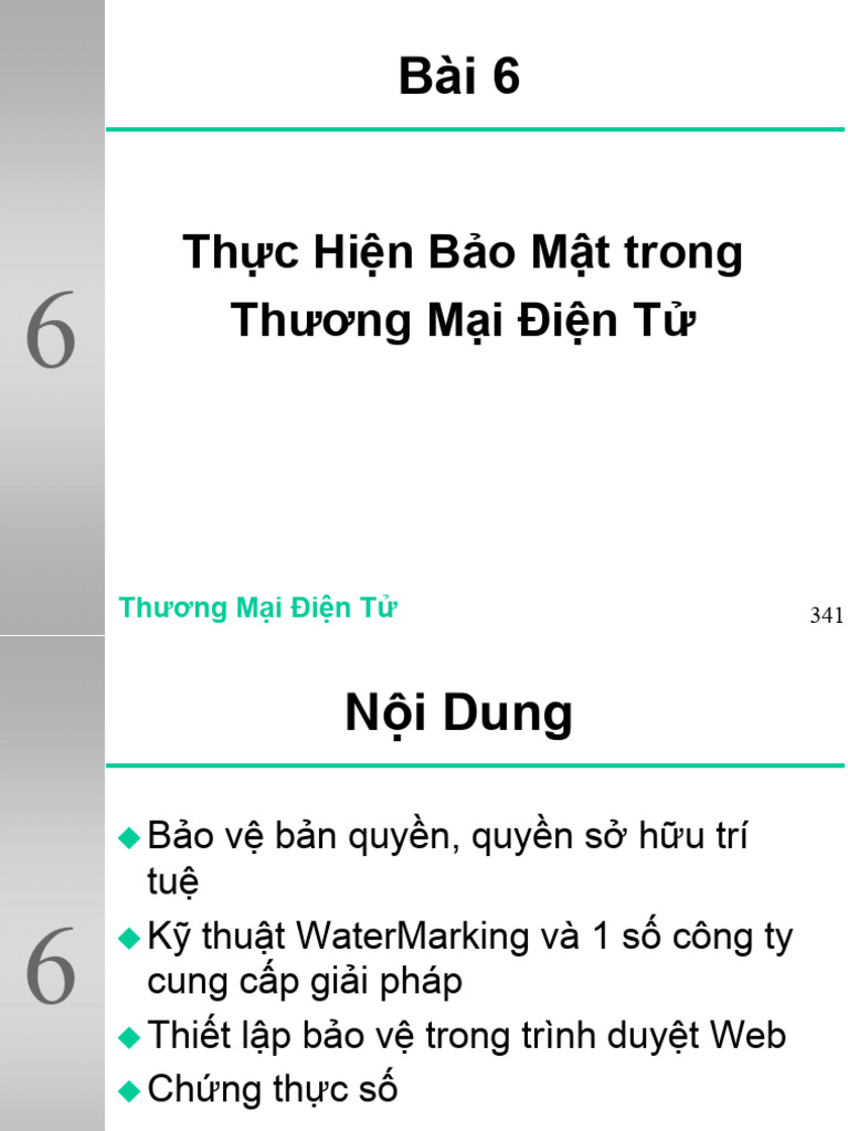 Bai Giang Thuong Mai Dien Tu c6 8994 | PDF