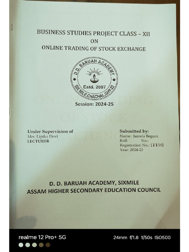Business Studies Project | PDF