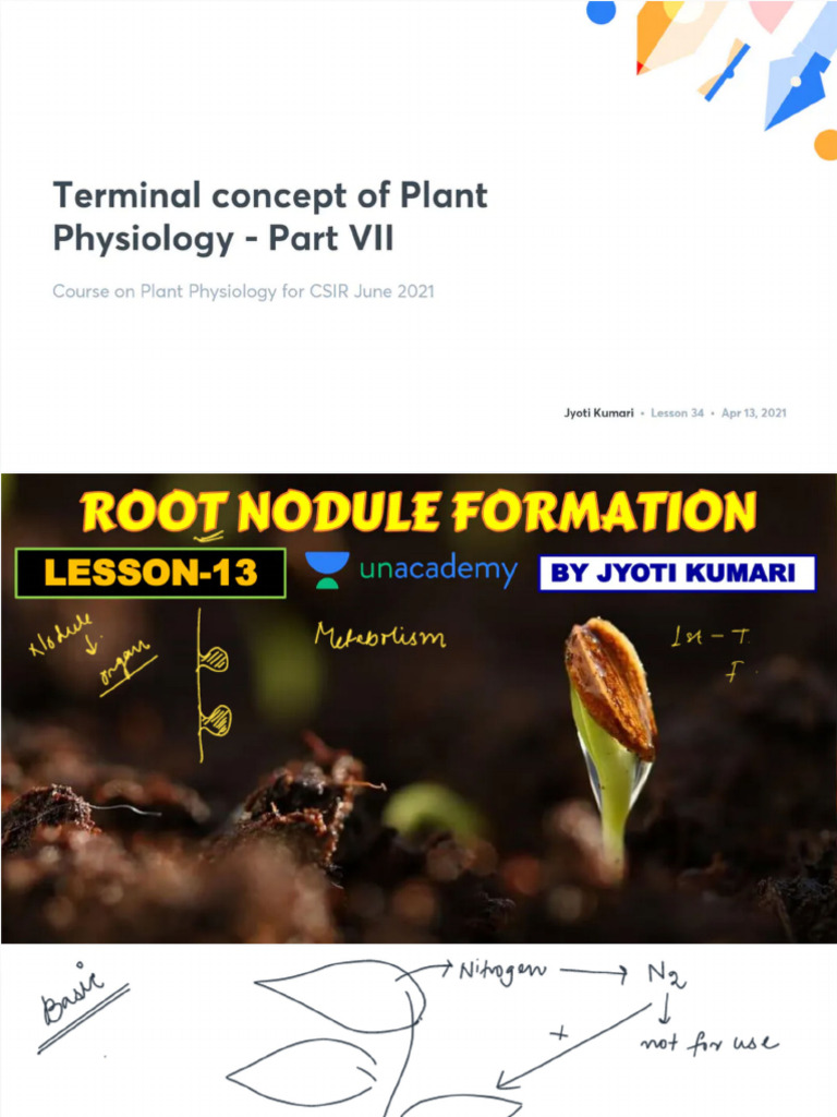 19-P Root Nodule Formation | PDF