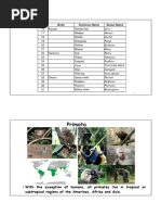 Primate Taxonomy and Classification Chart | PDF | Monkey | Ape