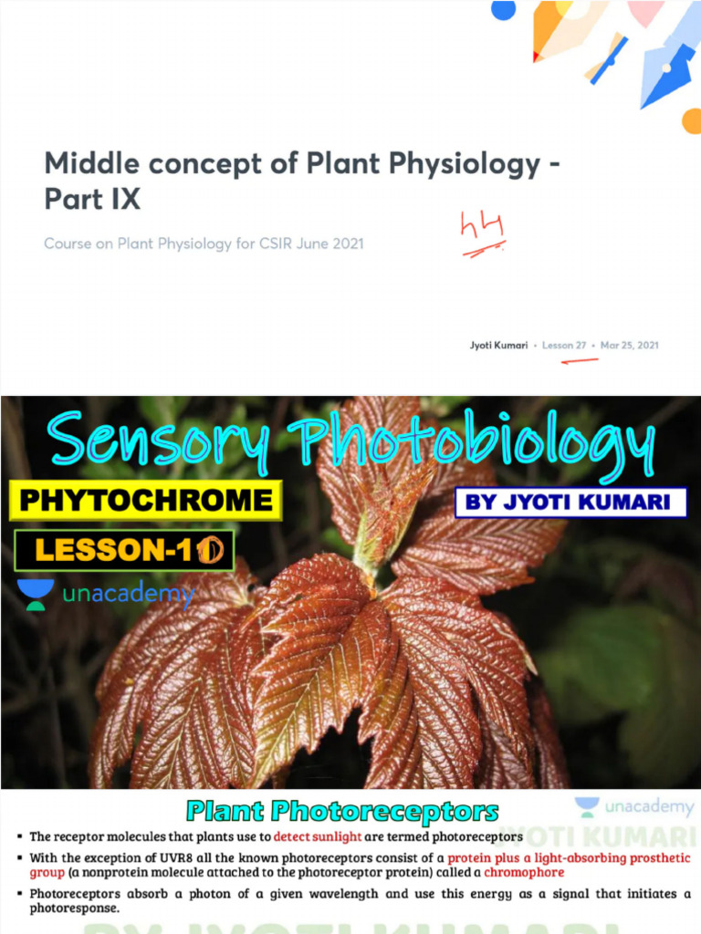 15-P Sensory Biology Phytochrome | PDF