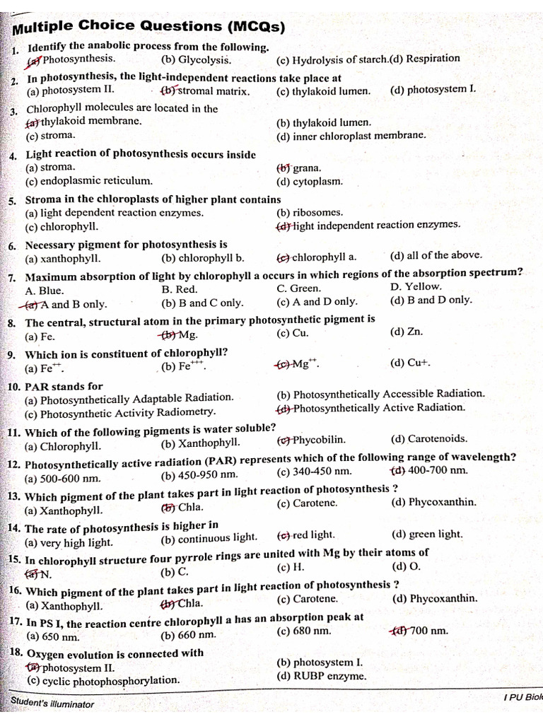 MCQs AND FILL IN THE BLANKS FOR PHY | PDF