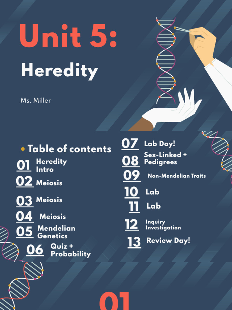 Unit 5_ Heredity Notes Updated 2025 | PDF | Meiosis | Dominance (Genetics)