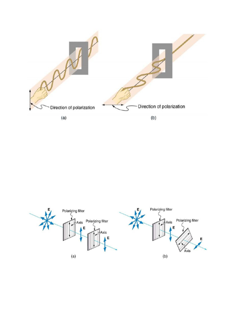 Polarization Part 1 | PDF