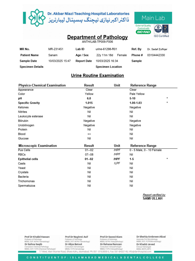 Urine Routine Examination 653886 | PDF | Biology | Medical Specialties