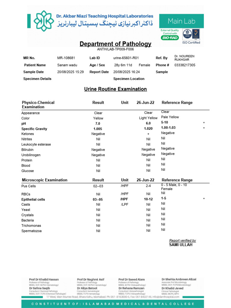 Urine Routine Examination 703186 (1) | PDF | Medical Specialties | Biology