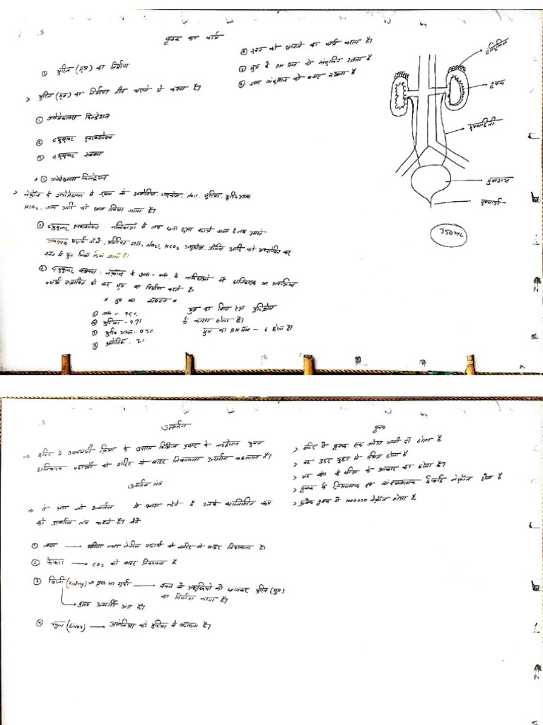 Class 10th Bio 4 | PDF