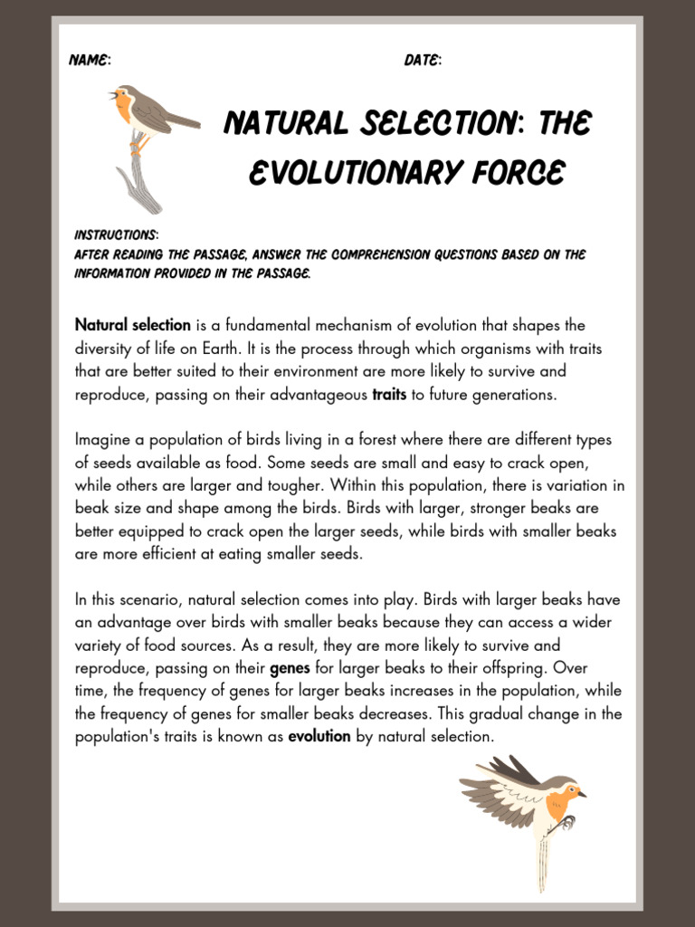 Natural Selection and Evolution Explained | PDF | Natural Selection ...