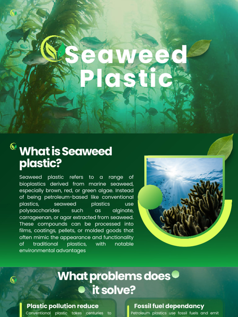 Green Modern Geometric Ecosystem Presentation (1) | PDF | Plastic | Seaweed