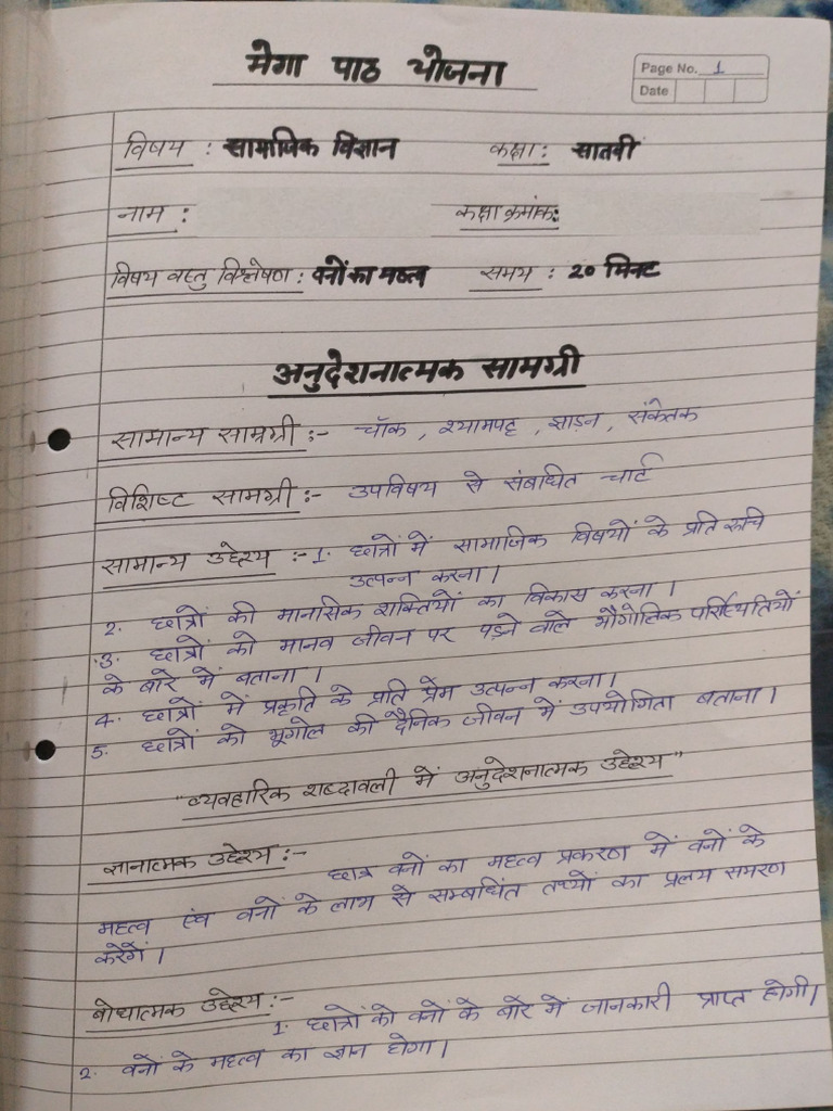 Mega Lesson Plan | PDF