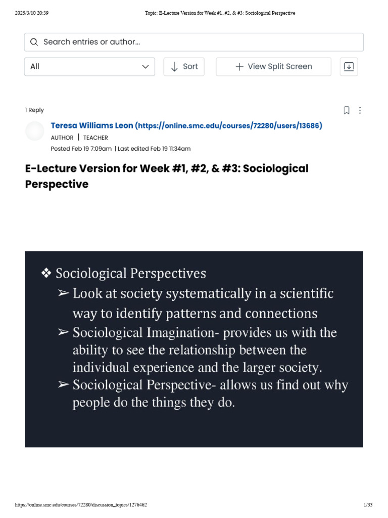 Sociological Perspective E-Lecture Overview | PDF | Sociology ...