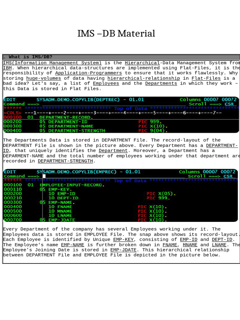 IMS Material | PDF | Databases | Source Code