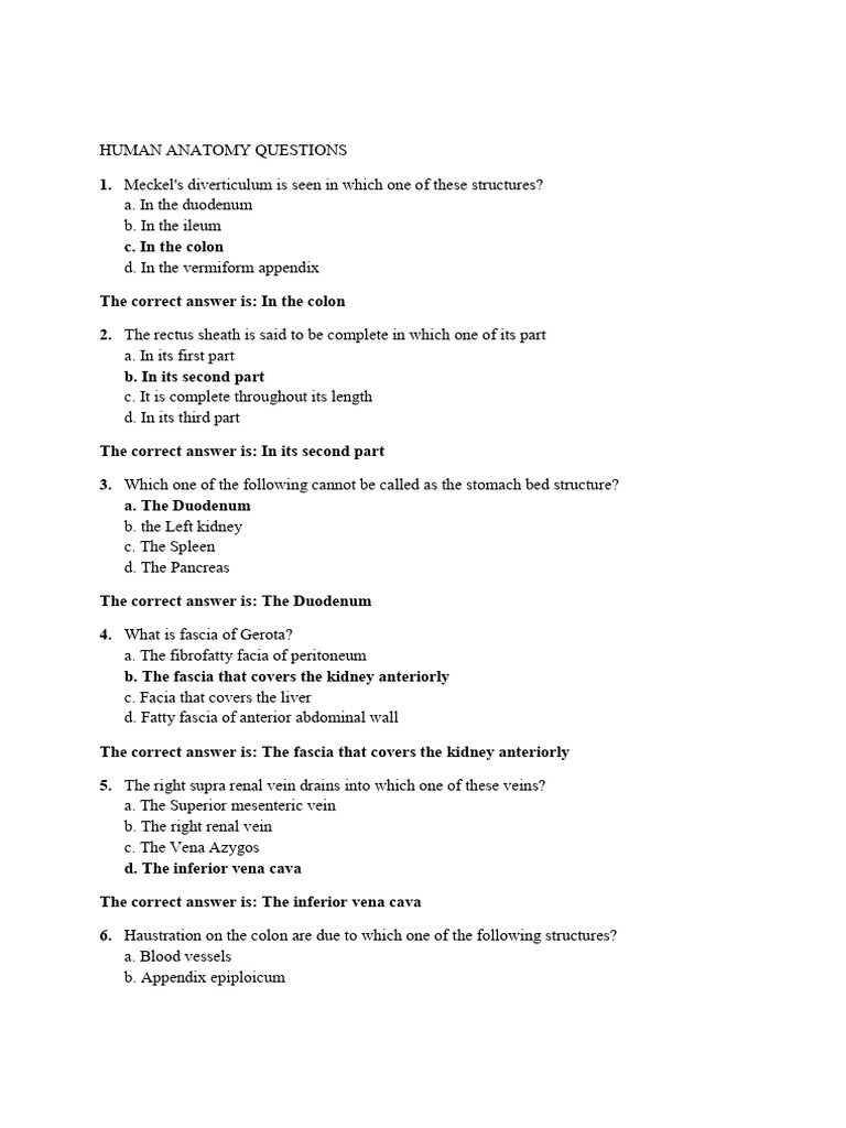 HUMAN ANATOMY QUESTIONS | PDF | Stomach | Abdomen
