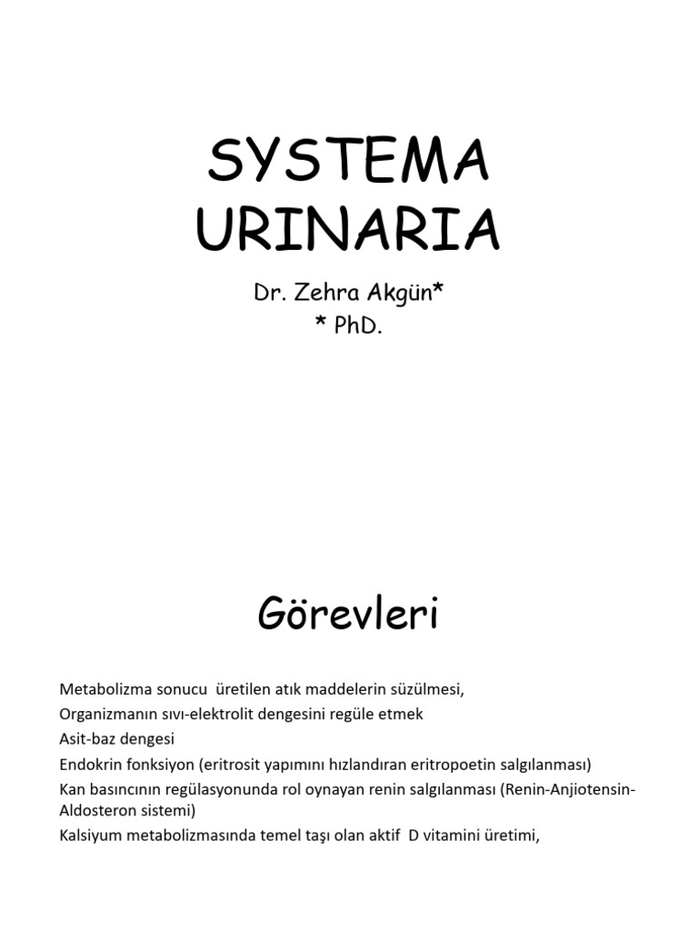 Uriner-System-Yy 251217 134946 | PDF