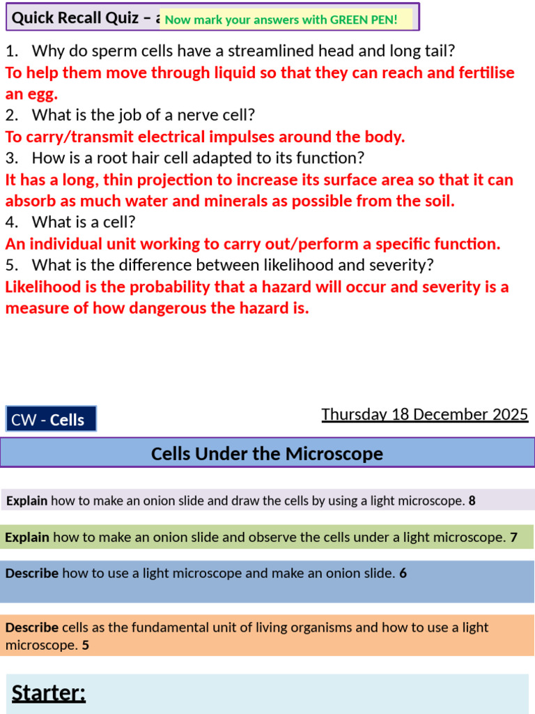 Onion Cell Practical BAF - Self-Isolation Version | PDF | Cell (Biology ...