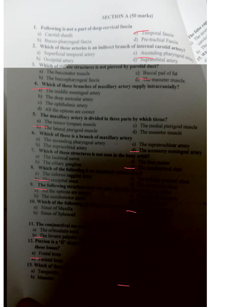 Anatomy Test 3-1 | PDF