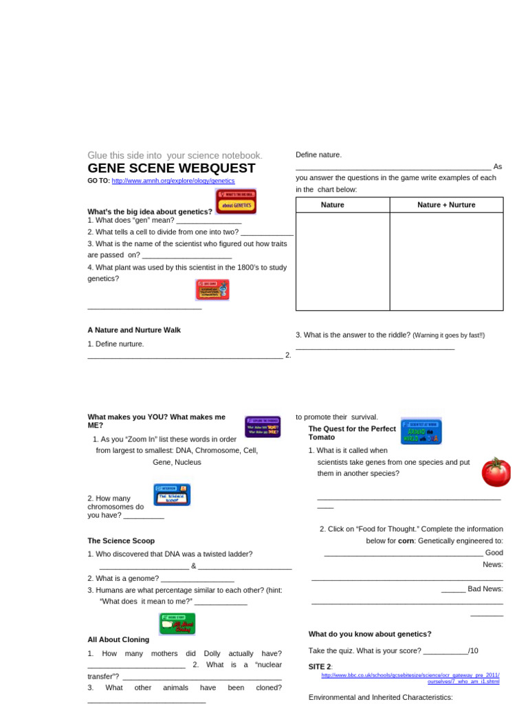 Gene Scene Webquest | PDF | Genetics | Gene