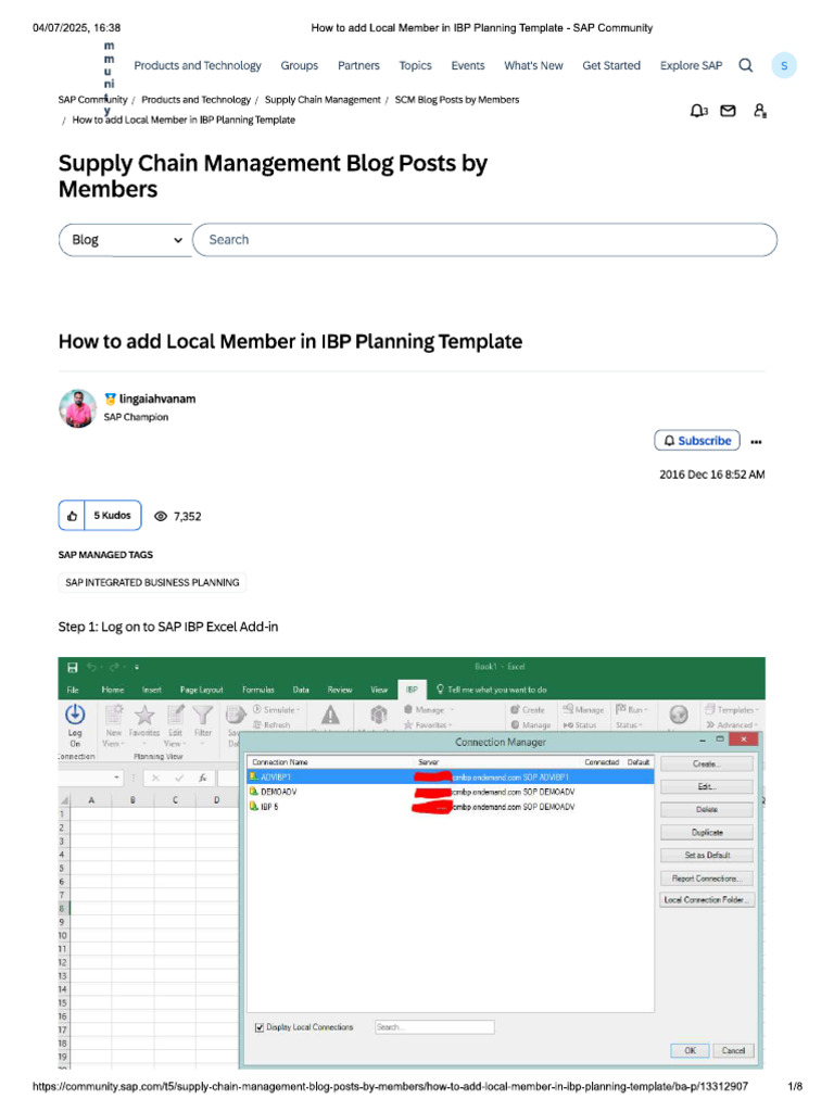 IBP - Local Member in Planning Template | PDF
