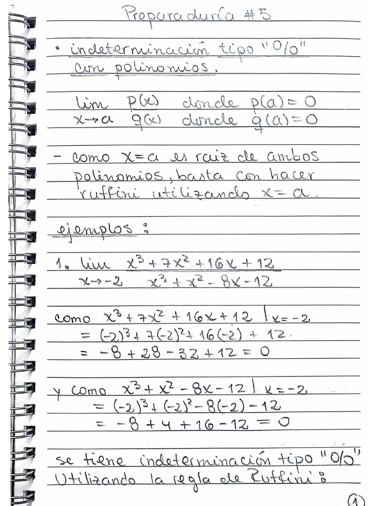 Preparaduria #5 MA1111 Limites, Parte I Ene Mzo2024 Heber Márquez | PDF