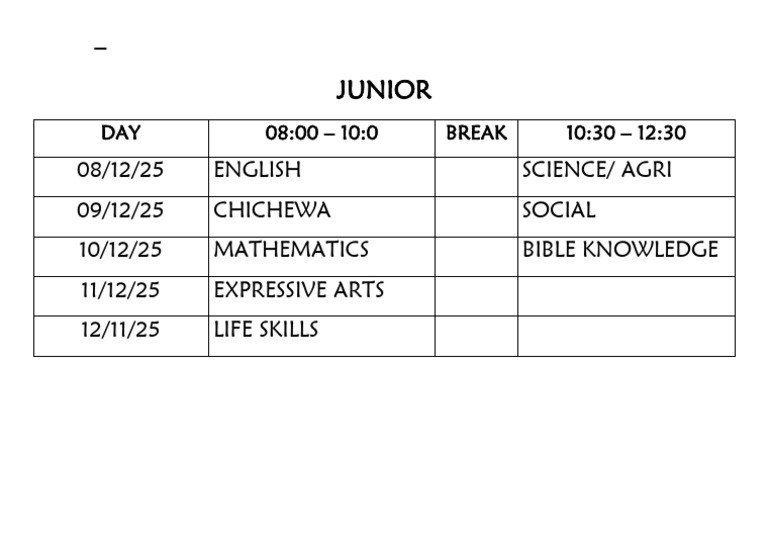 2025 Junior Exam Timetable | PDF