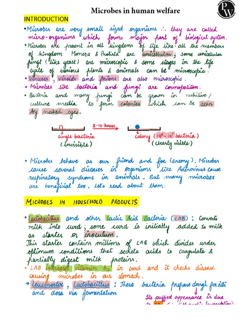 Microbes in Human Welfare Handwritten Notes (Botany) | PDF