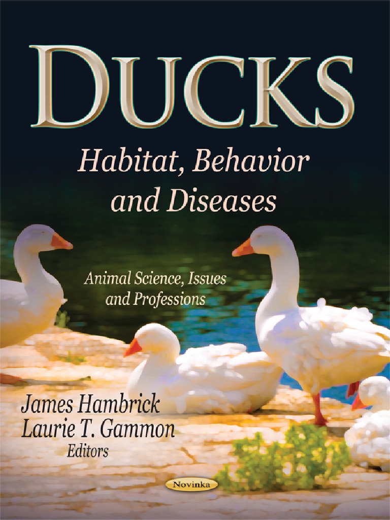 Ducks Habitat, Behavior and Diseases | PDF | Virus | Infection