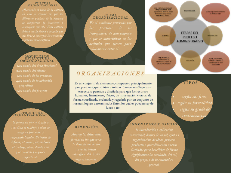 Dark Green Leaves Pattern Bubble Map Chart | PDF | Business