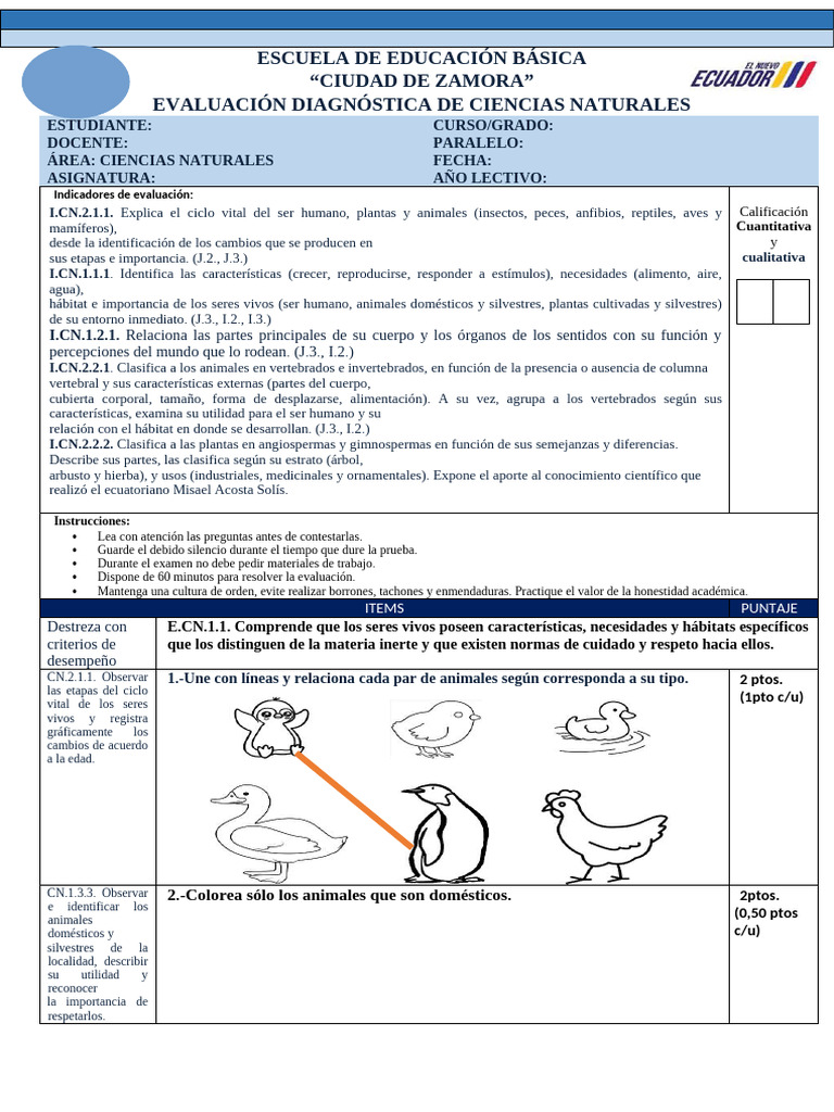 Prueba Diagnostica Segundo Grado (1) | PDF