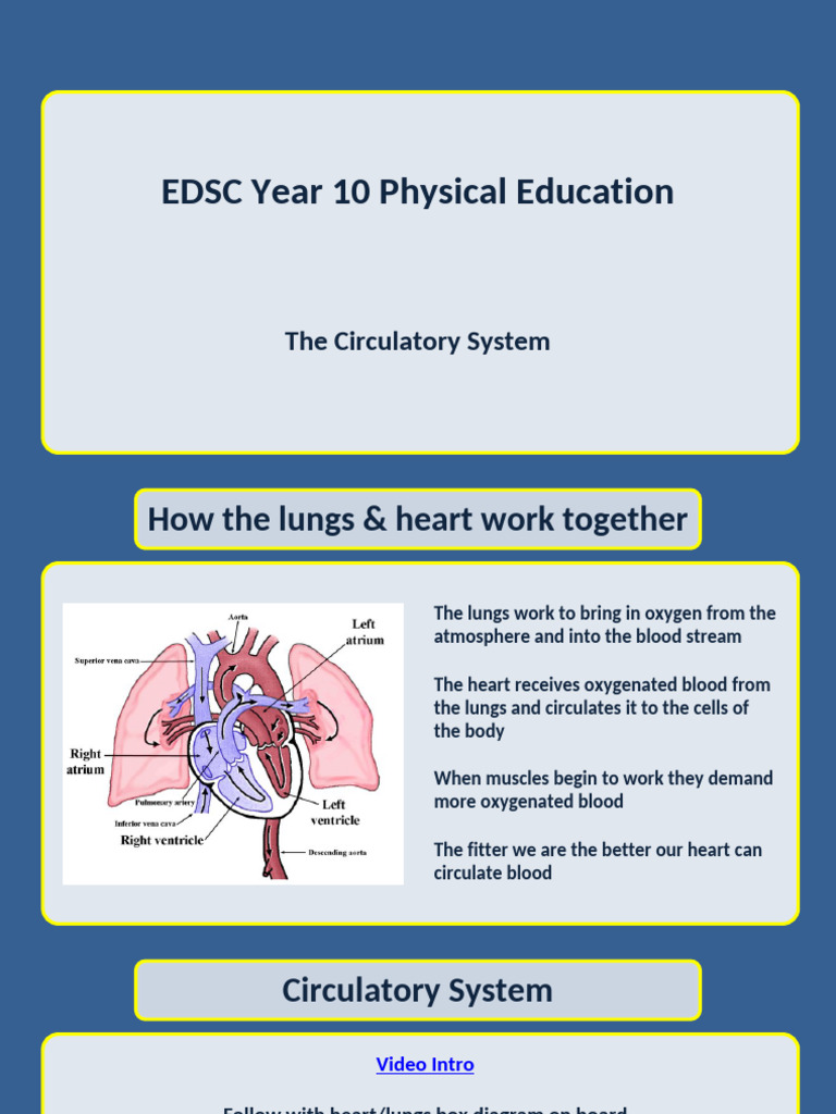 Powerpoint - Circulatory System | PDF | Circulatory System | Heart