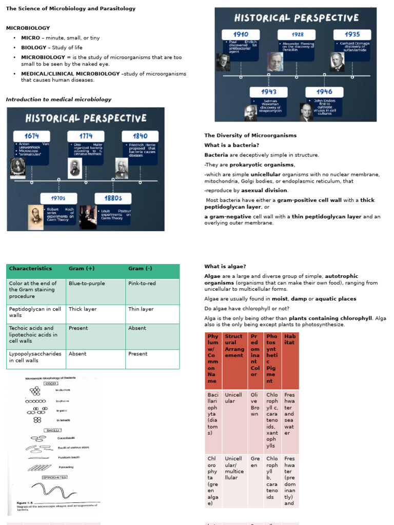 The Science of Microbiology and Parasitology | PDF | Bacteria | Infection