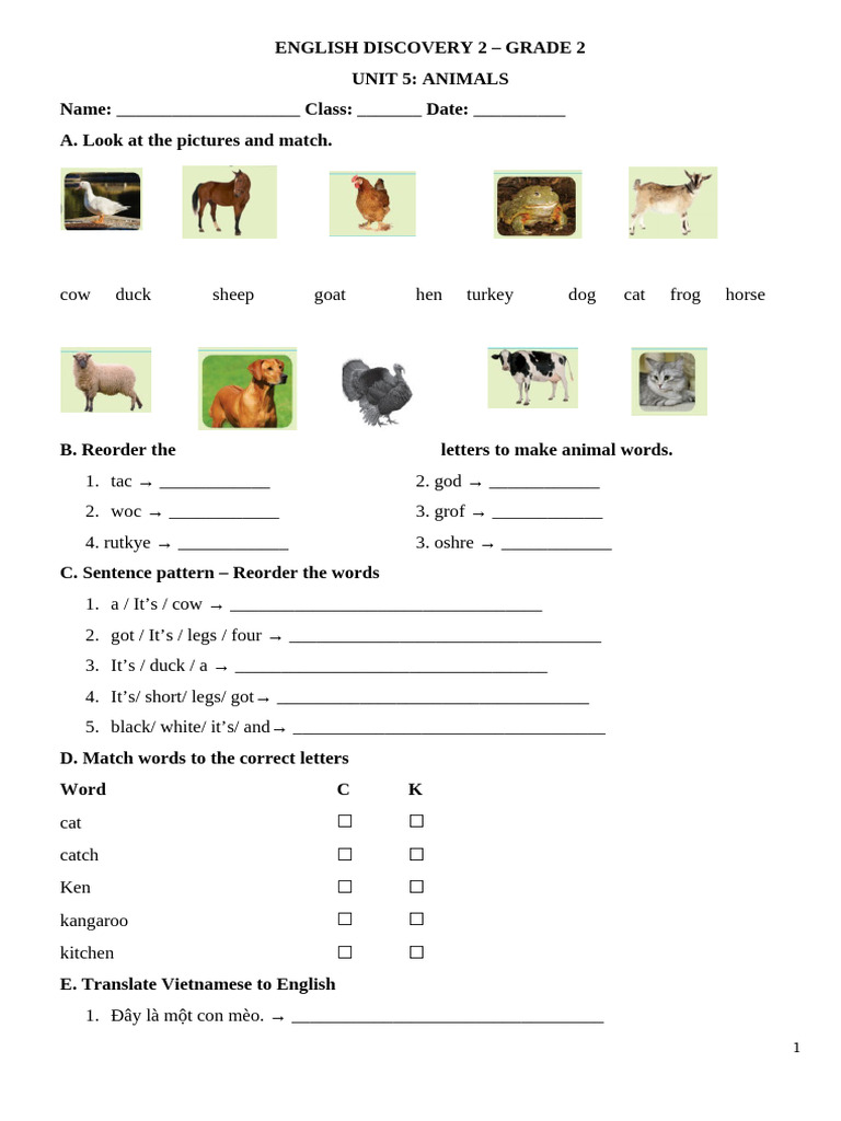 Grade 2 Animals Unit Activities | PDF