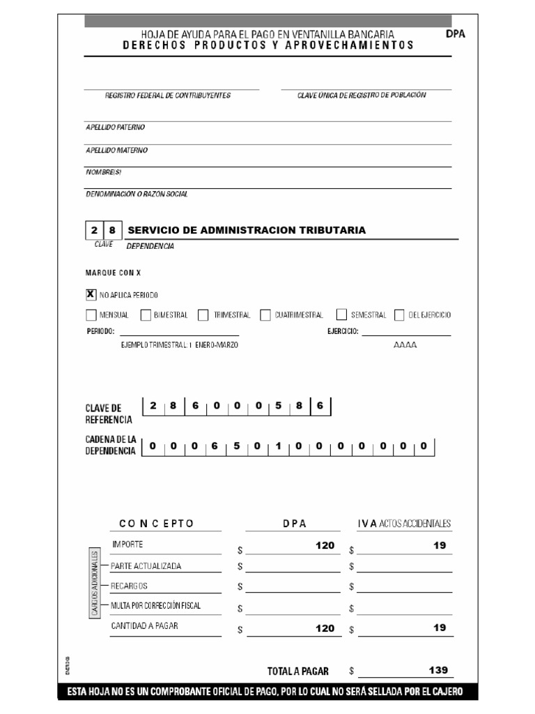 Formato de Pago E5cinco | PDF