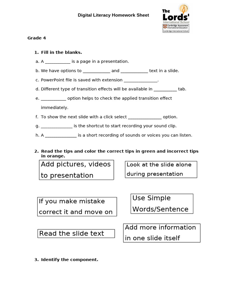 Grade 4 Digital Literacy Homework Guide | PDF