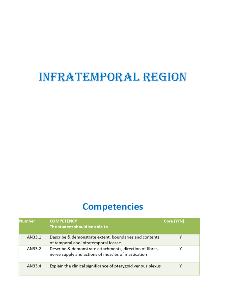 Infratemporal Region Anatomy Overview | PDF | Human Nose | Primate Anatomy